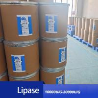 Quality lipase 10000U the enzyme that breaks down fats Applied to bread and sweet for sale
