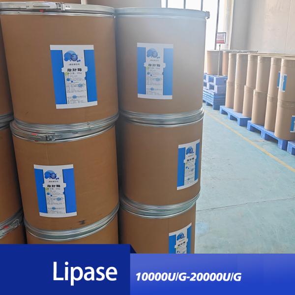 Quality lipase 10000U the enzyme that breaks down fats Applied to bread and sweet essence for sale