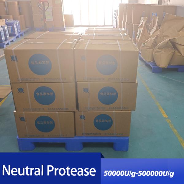Quality Neutral Protease for food customized food grade&pharmaceutical grade for sale