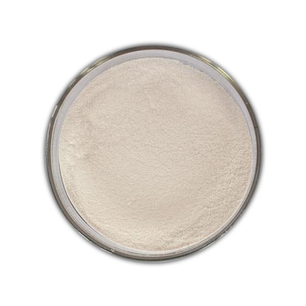 Quality Fungal Alpha Amylase enzyme baking use in Bread baking Customizing enzyme for sale