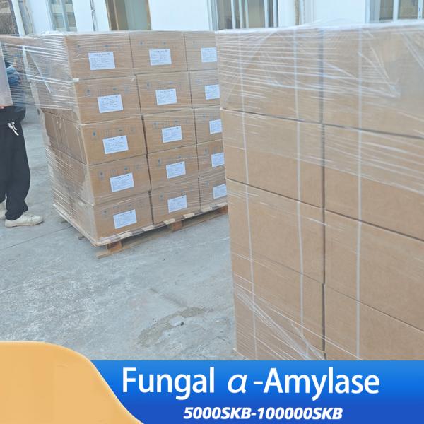 Quality Fungal Alpha Amylase enzyme baking use in Bread baking Customizing enzyme for sale