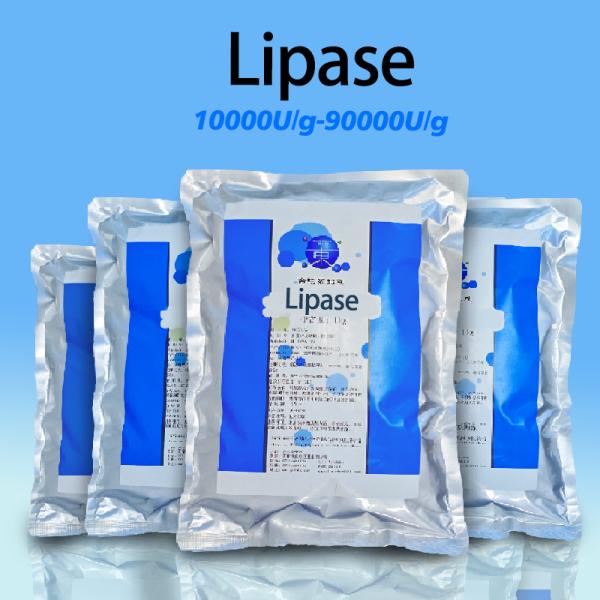 Quality lipase enzyme in bread Used for For baking and Sweet essence for sale