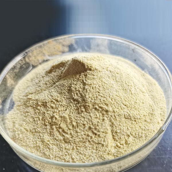 Quality Fungal amylase enzyme for bread Provide enzyme preparation sample testing for sale