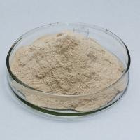 China Protein Hydrolysate Enzyme Neutral Protease Enzyme preparation sample testing for sale