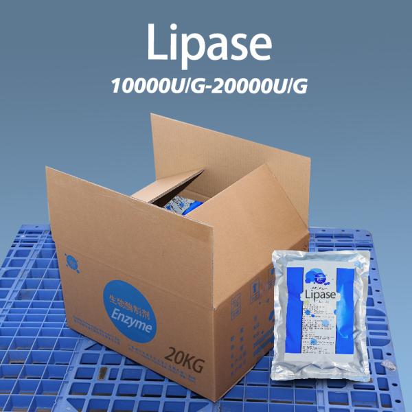 Quality lipase enzyme that breaks down fatty acids Used for baking and sweet essence production for sale