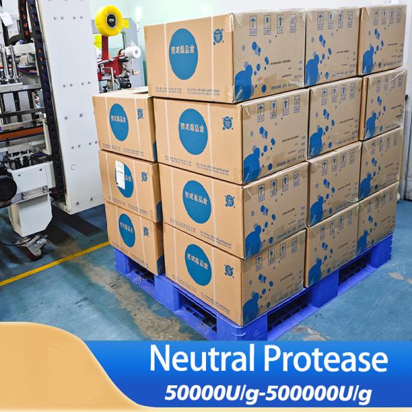 Quality Neutral Protease 20000u/g in The Food Industry Customizable food-grade enzyme activity for sale