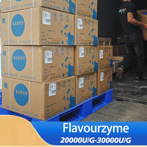 Quality Flavourzyme price enzyme activity can be customized send samples for testing for sale