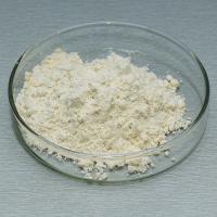 China Amylase powder for baking 5000SKB Send sample for testing for sale
