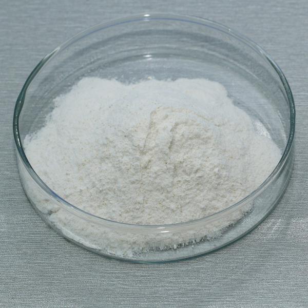 Quality Lipase in bread Increase the volume of bread Send samples for testing for sale