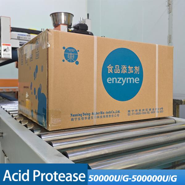 Quality Acid Protease Raw Material Manufacturer Customized food grade industrial grade for sale