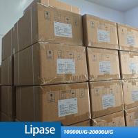 Quality Enzyme of fats use in industry of Bread baking and sweet essence Send sample for for sale