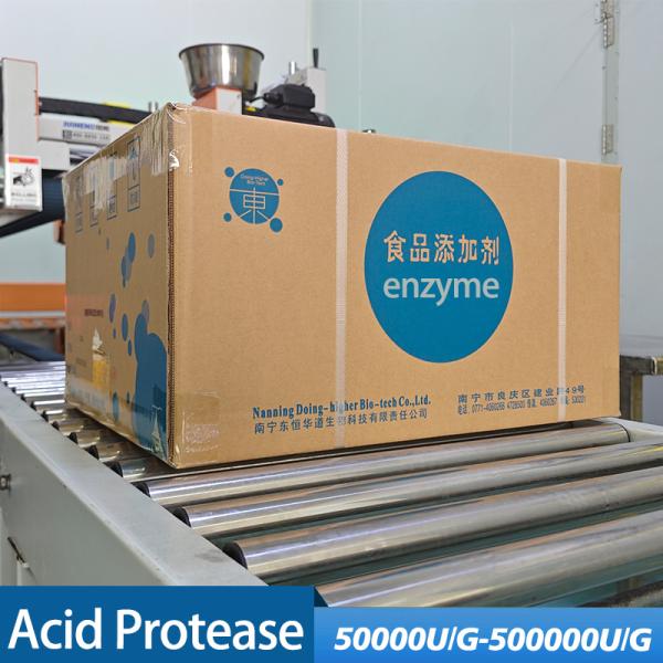 Quality Food grade Acidic protease enzyme for protein hydrolyzate Send sample for testing for sale