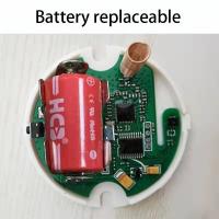 China Battery Powered RF Digital Temperature Detector Smart Iot Wireless Temperature Sensor for sale