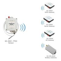 China PT100  Probe Lora Temperature Sensor Wireless Temperature Instrument for sale