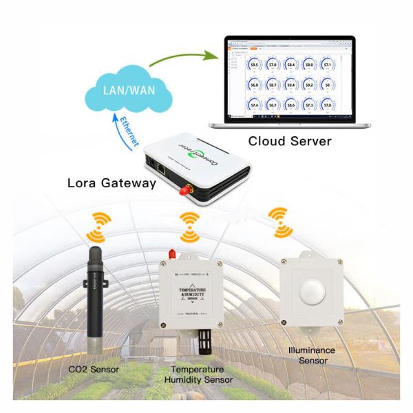 Quality Wireless Temperature Humidity Light Carbon Dioxide Lora CO2 Iot Sensors for Agriculture for sale