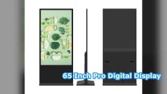 65 Inch Digital Signage Kiosk 24 7 Remote CMS Display