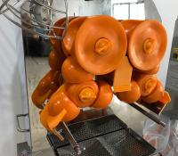 China Commercial Juice Extractor Machine Auto Feed Orange Squeezer Compact Design for sale