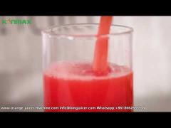 De centrifugaal van het de Extractie Multifunctionele Huishouden van Juicer Hoge van de het Fruitmachine Slakken Juice Separation