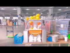 Kaltpresse Handelsorangensaftmaschine Granatapfelsaftpressmaschine Zitronensaftmaschine