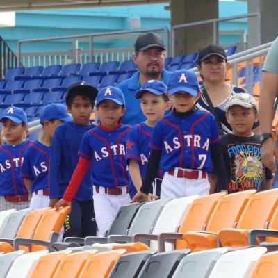 Китай Пластиковая складная подсказка вверх по УЛЬТРАФИОЛЕТОВОМУ анти- вызревания мест спорт стадиона анти- продается