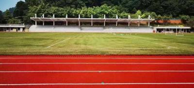 China 8m Width Athletic Running Tracks With Low Maintenance And Fade Resistance for sale