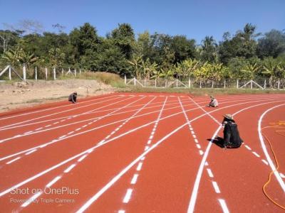 China Customized Competition Running Track With Fade Resistance for sale