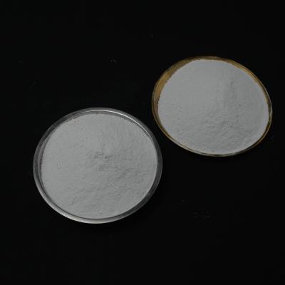 China Ca₁₀(PO₄)₆(OH)₂ Hydroxyapatite In Powder CAS 1306 06 5 For Biomedical Applications. for sale