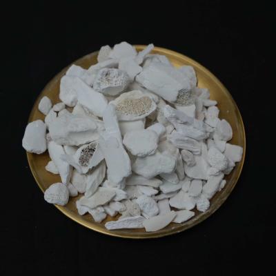 China Bone Ash For High-Performance Ceramic Manufacturing In Industrial Settings for sale