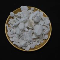 Quality Professional Calcined Bone Ash Predominantly Tricalcium Phosphate Fine Particle for sale