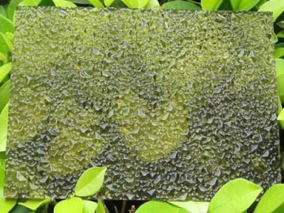 China Hot sale!!! 3mm Big Hot Sale Embossed Pc Sheet for sale
