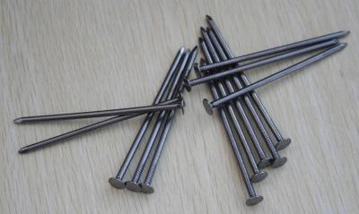 China common nails(FACTORY) for sale