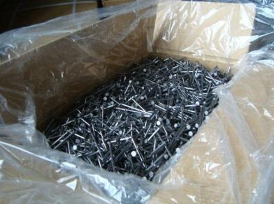 China common nails(FACTORY) for sale