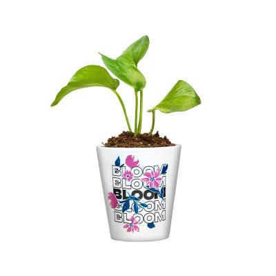 China White Blank 12oz Sublimation Ceramic Flower Pots Custom Logo Ceramic Flower Pot Planters for sale