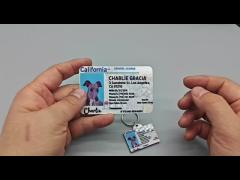 DIY Custom Sublimazione Pet ID Tag MDF per la stampa di sublimazione