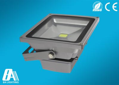 China 30 W 6000K ~ 6500K Exterior Waterproof LED Flood Lights IP65 for Park for sale