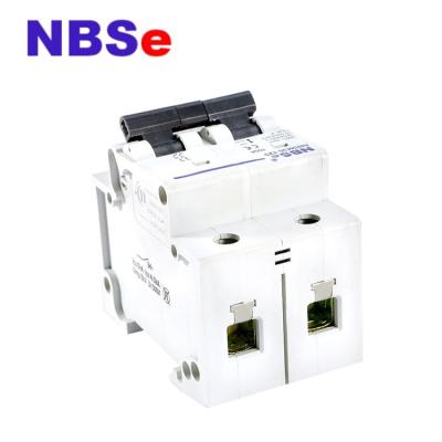 Cina Commutatore termico dell'interruttore NBSM30-125, un interruttore di 2 Pali MCBcircuit in vendita
