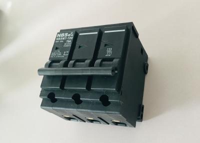 Cina NBSe 75A il nero/bianco di 3 di fase di spina del fusibile serie dell'interruttore NBSM7-100 in vendita
