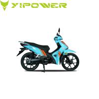 Quality 60V PMSM Electric Motorcycle with 166N・m High Torque and Removable Lithium for sale