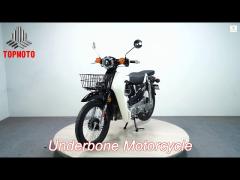 107cc efi motorcycle, dual shock absorbers, spoked wheels, economical & durable for daily
