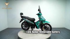 Removable Battery, Long Range Commuter