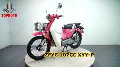 107cc Horizontal Air-Cooled Motorcycle, 4-Speed Semi-Auto, Drum Brakes, Strong Climbing & Load