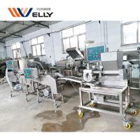 China 2019 Automatic Electric Batter Making Machine Meat Pie Breadcrumbs Coating Machine Patty Maker Process Line for sale
