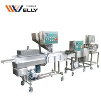 China Automatic Industrial Batter Making Machine Bread Crumbing Balls Machine Chicken Nugget Process Line for sale