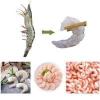 China Shrimp Thread Removal Machine Shrimp Head Removing Devenier Machine Equipment for Shrimp Processing for sale
