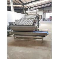 China Shrimp Thread Removal Machine Shrimp Head Removing Devenier Machine Equipment for Shrimp Processing for sale