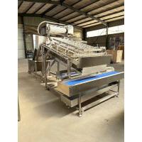 China Automatic Prawn Pleeing Machine Shrimp Deveiner Peeler Processing Machine for sale