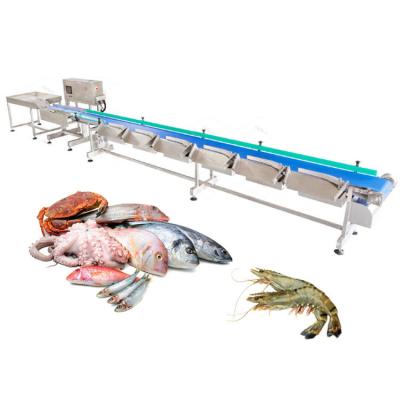 China Large Scale Stainless Steel Automatic Food Fish Pineapple Grader Seafood Weight Sorting Grading Machine for sale