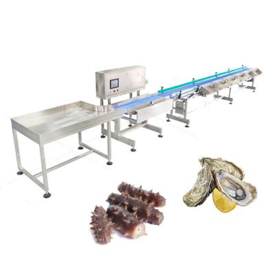 China Vegetable Fruit Food Seafood Live Fish Shrimp Size Classifier Prawn Grader Oyster Grading Multilevel Weight Sorting Machine for sale