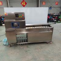 China Fully Automatic Poultry Chicken Duck Gizzard Opening Cleaning Machine for sale