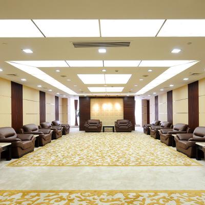 China Op maat gemaakte brandwerend luxe hotel tapijt in paars nylon voor woonkamer Te koop